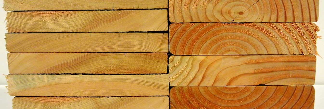 Hemlock Logs and Lumber from Canada