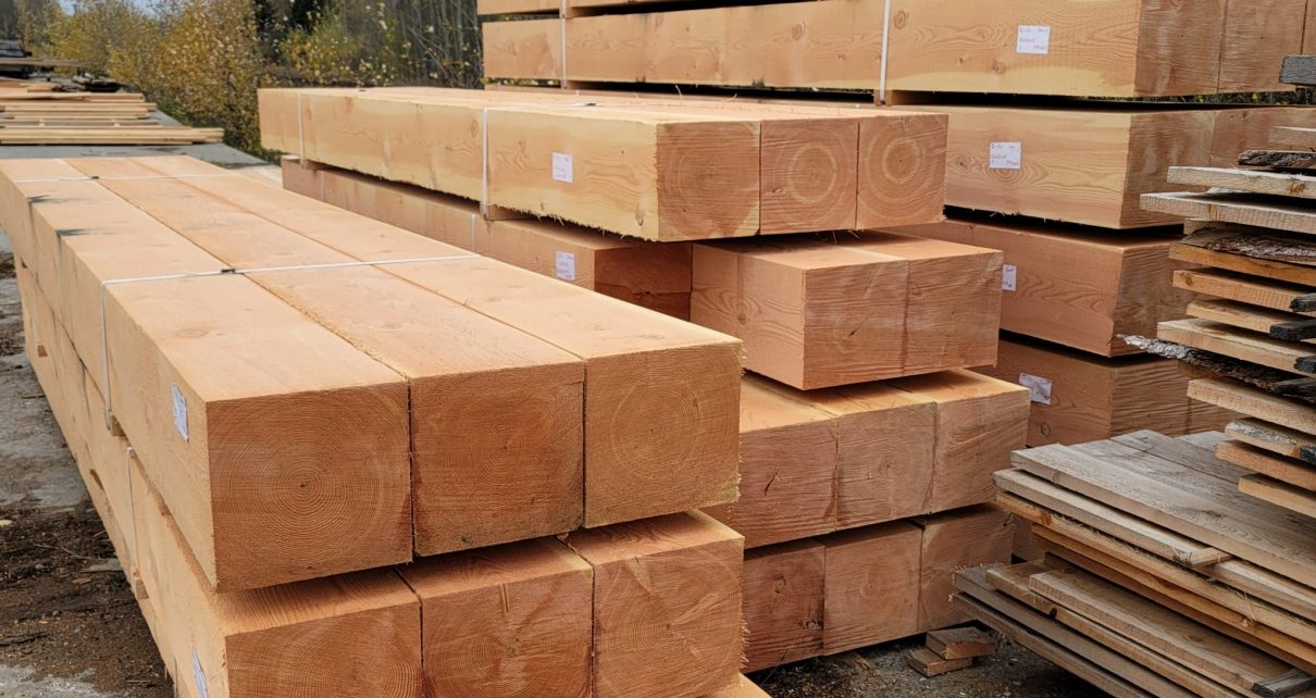 Hemlock Logs and Lumber from Canada