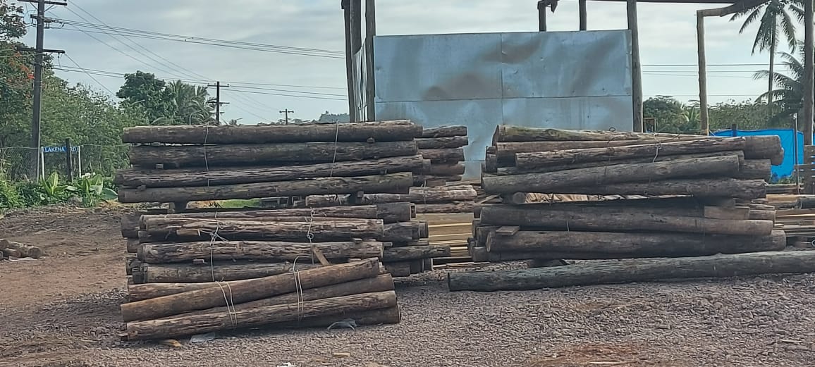 Exporting Southern Yellow Pine- Famous softwoods from America